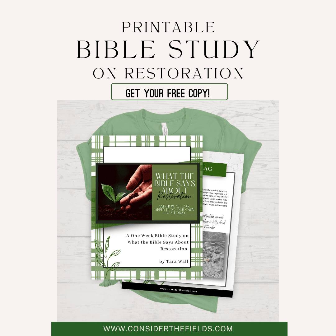 Bible Study Page